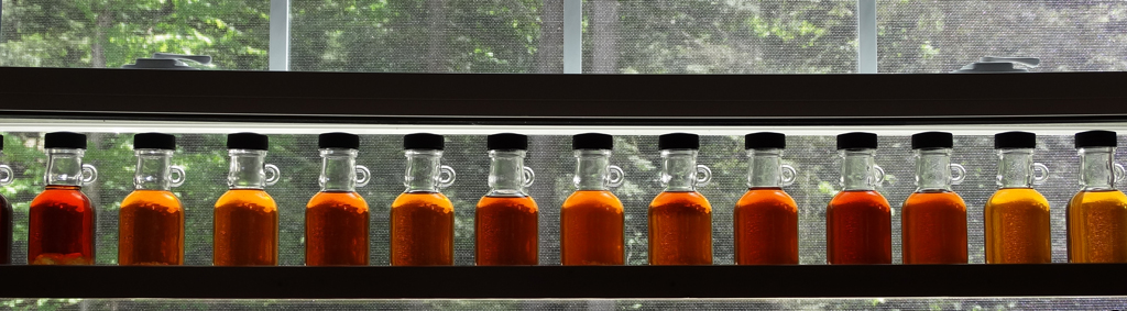 Our Logo - Muskoka Maple Syrup - Sugarbush Hill Maple Farm